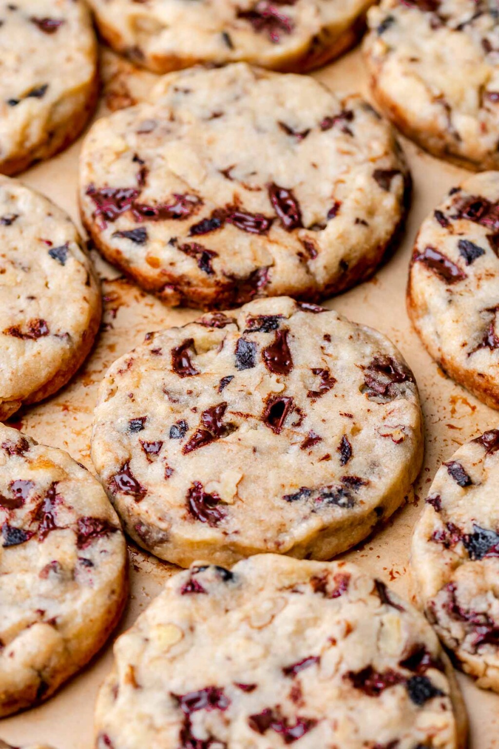 Customizable Slice and Bake Cookies – The Cozy Plum