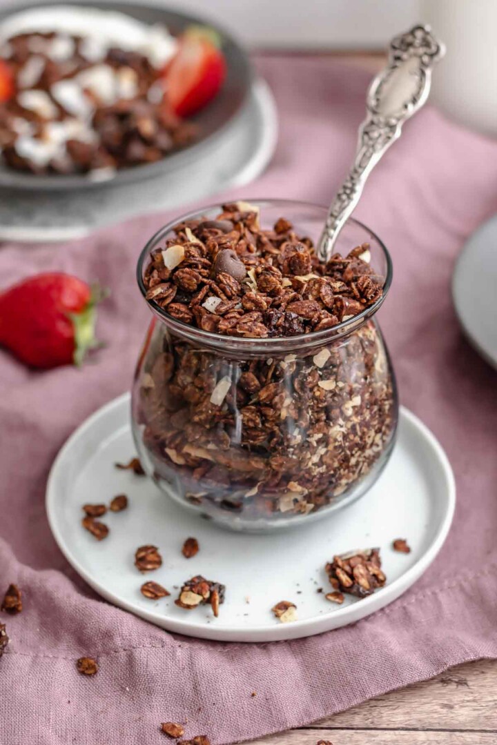 Dark Chocolate Granola – The Cozy Plum