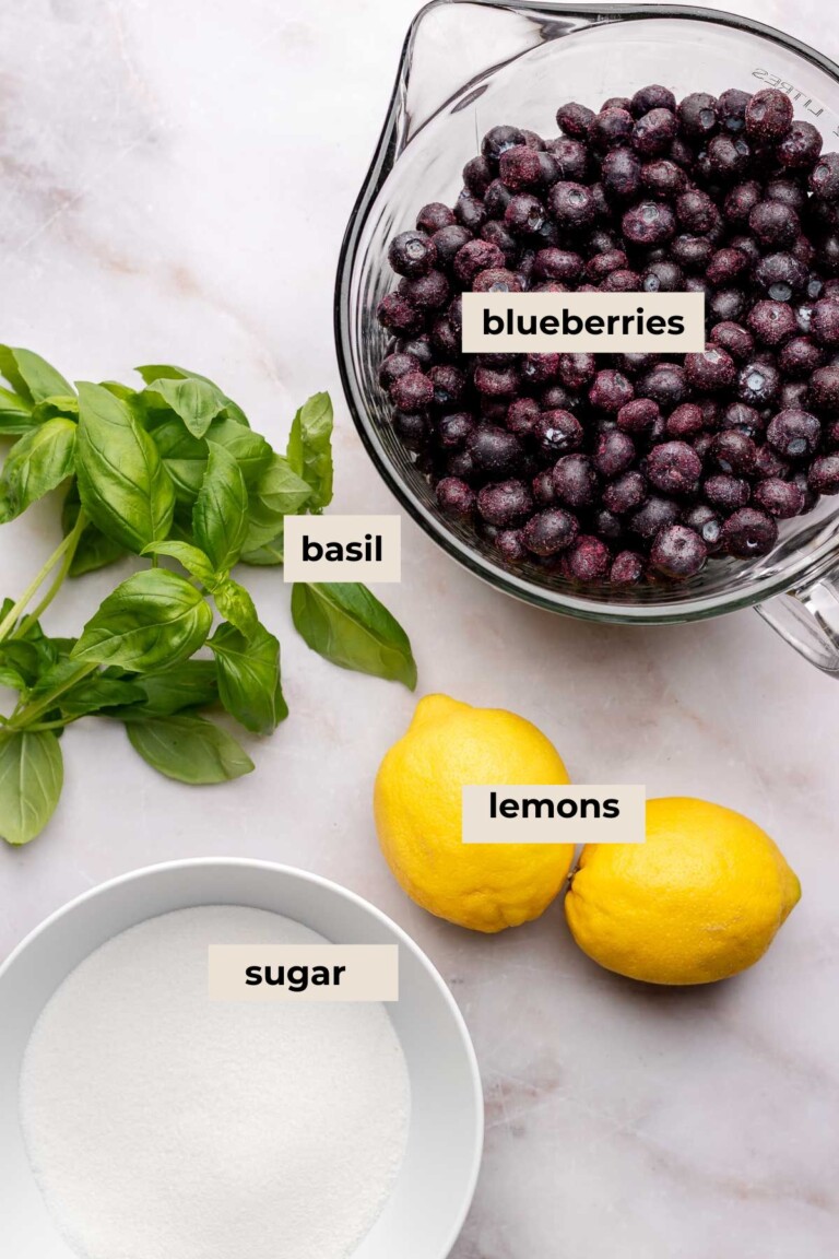 4-Ingredient Blueberry Basil Sorbet – The Cozy Plum