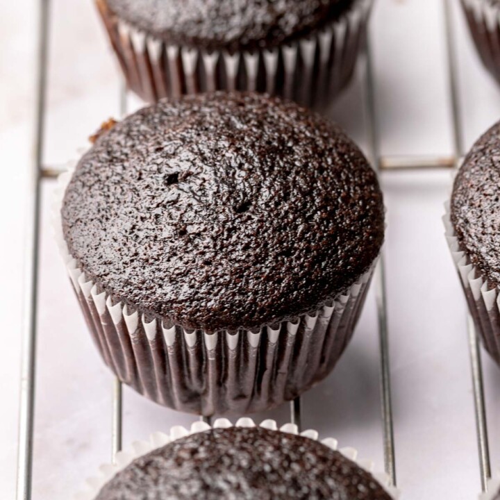 Moist Chocolate Cupcakes (Easy Homemade Recipe) – The Cozy Plum